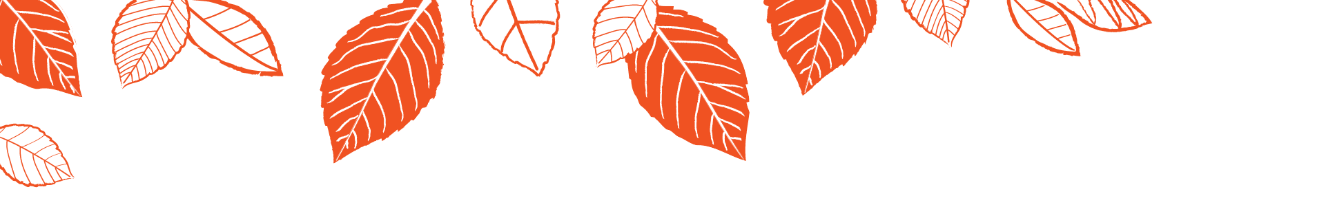 Impress Printer Services | Carbon Balanced Printer | Eco Printer