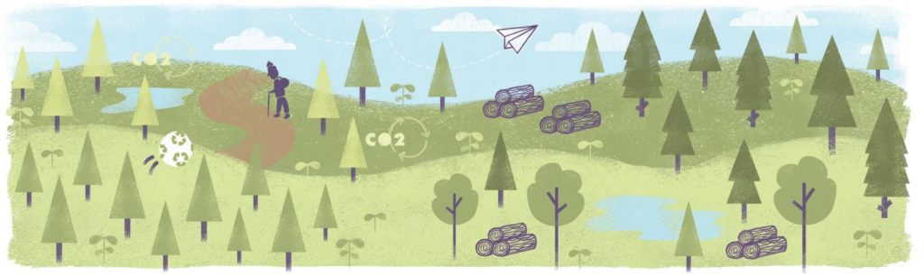 The Facts about paper production and sustainable forests - Impress Print