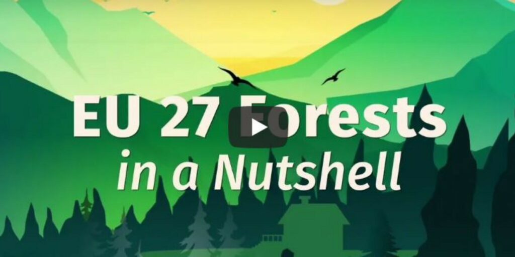 Forests In A Nutshell - The Facts and Questions About Forests in the EU